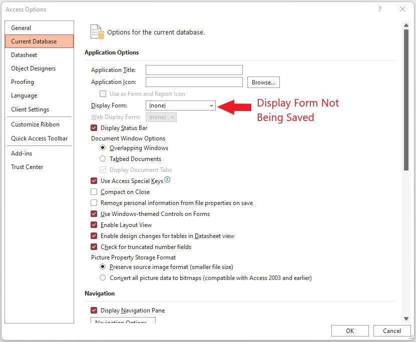 Display Form - Access Bug Alerts - Computer Learning Zone