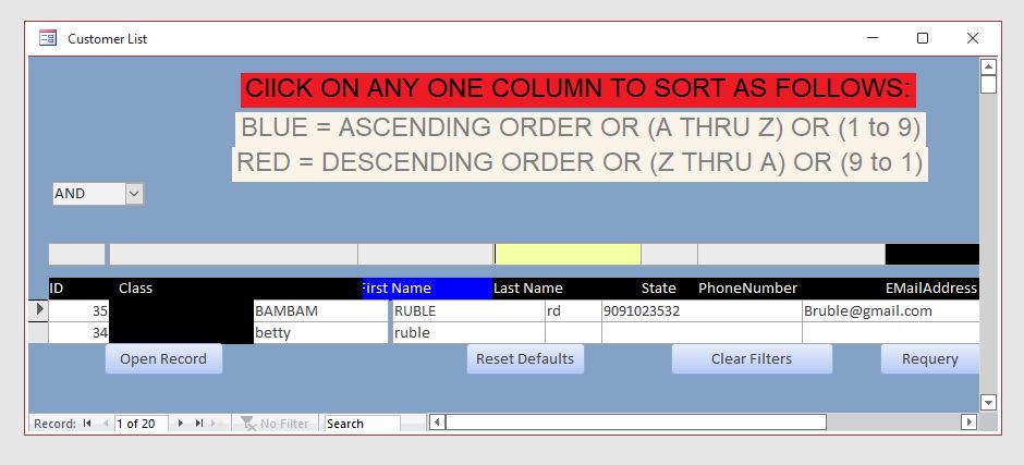 Naughty VBA Code - Microsoft Access Search Template - Computer Learning Zone