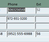 Phone Number display - Microsoft Access Forum - Computer Learning Zone